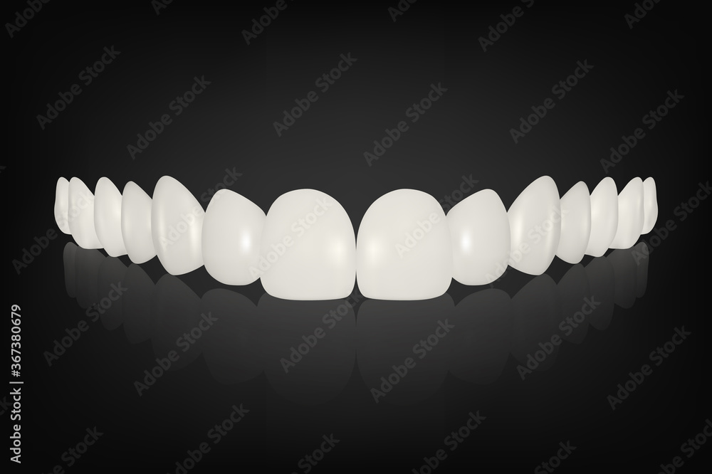 Vector 3d Realistic Render White Denture Set Closeup Isolated ...