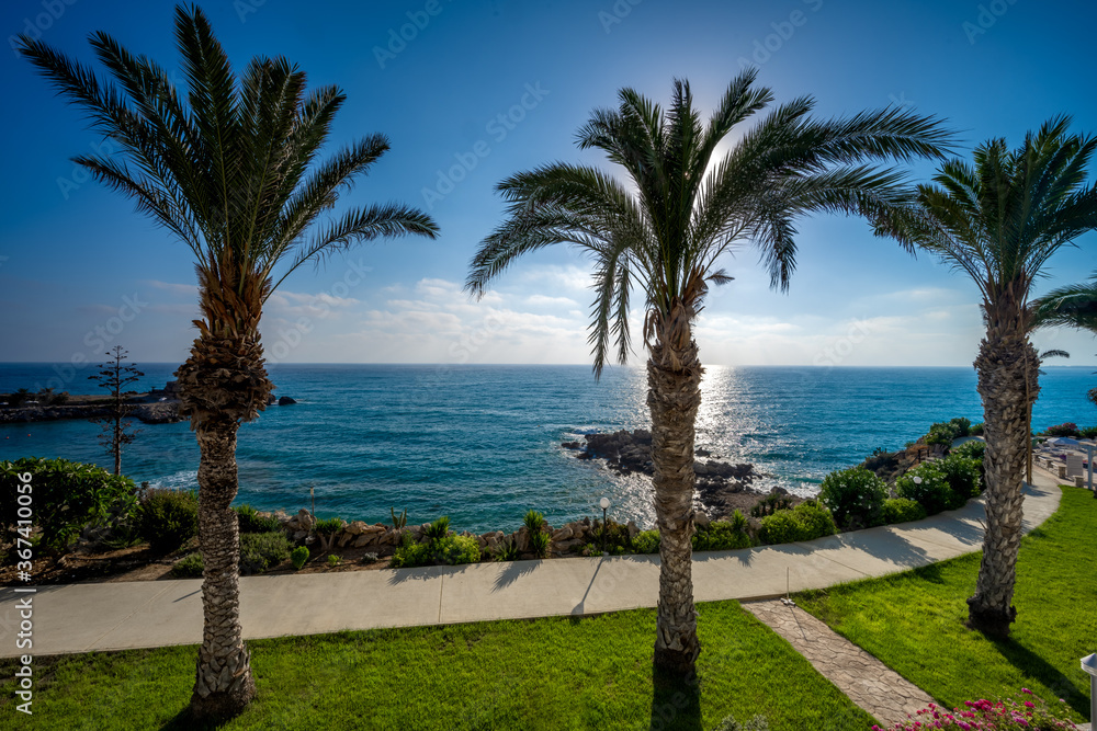 palm trees on the beach in paphos cyprus with walkpath and green grass ...