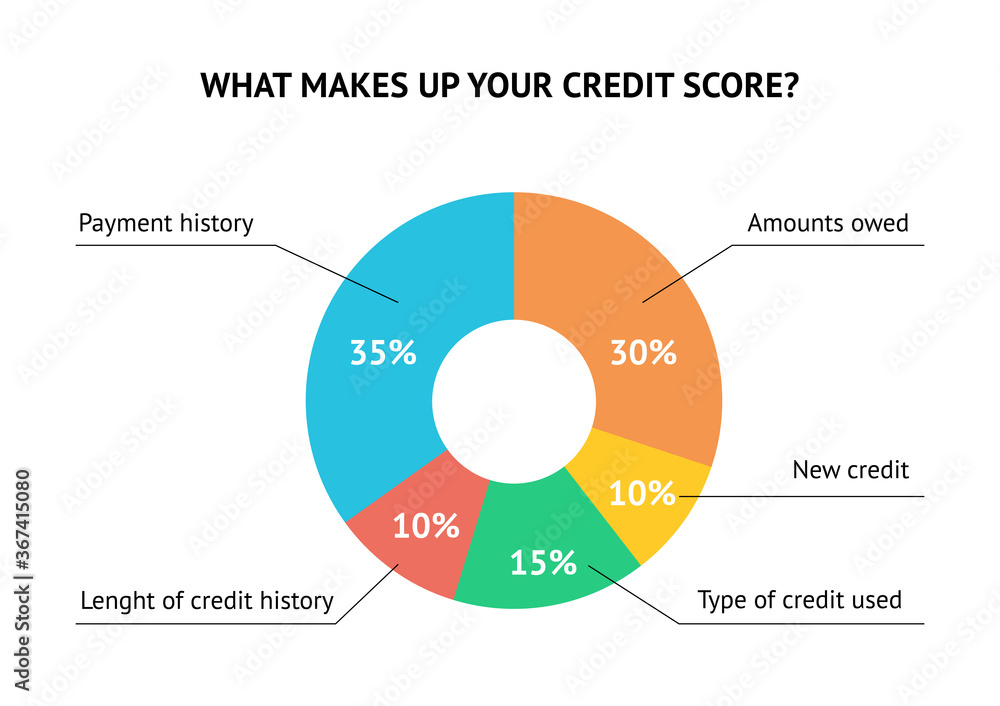 Calculate credit score pie chart flat vector concept isolated on white ...