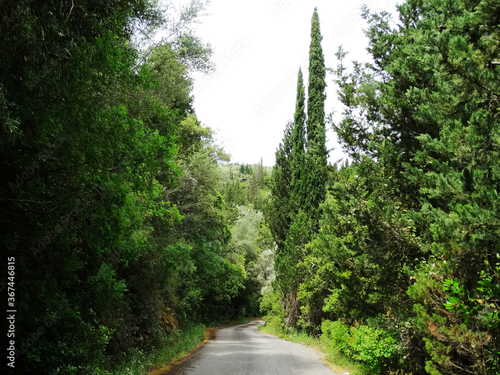 Natural landscape of Lefkada village and walking path in mountains in ...