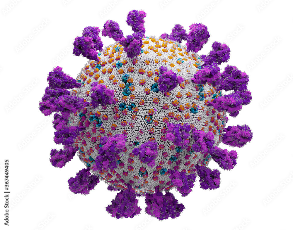 sars-cov-2, or corona virus, know for covid19 pandemic, 3d scientific ...
