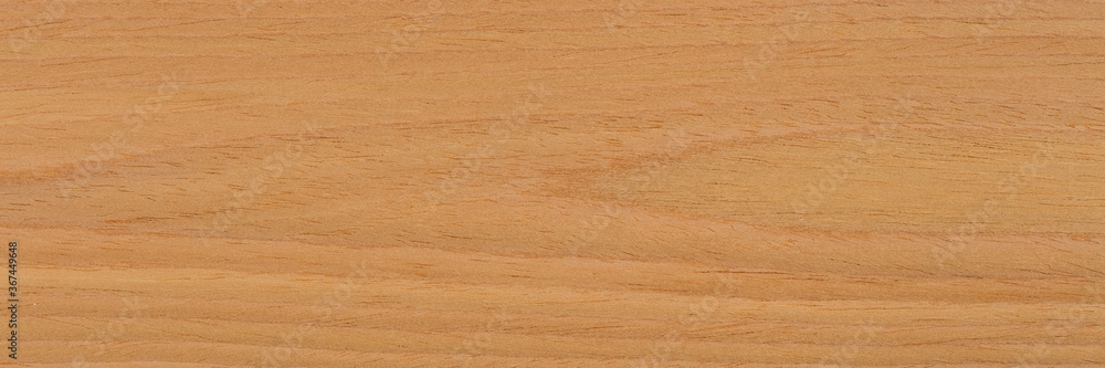 Beautiful oak veneer background in natural beige color. Natural wood ...