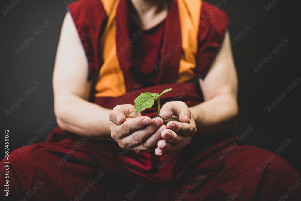 Buddhist monk in red kesa. A monk holding a green plant in his hand ...