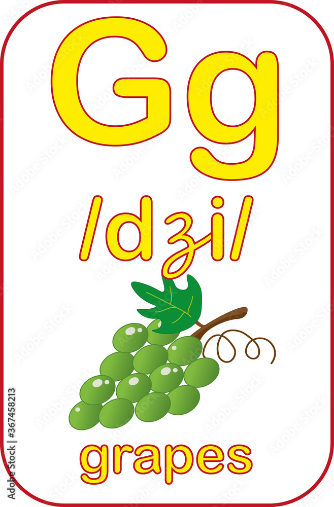 Letter G. Alphabet tutorial cards collection. Vector illustration ...