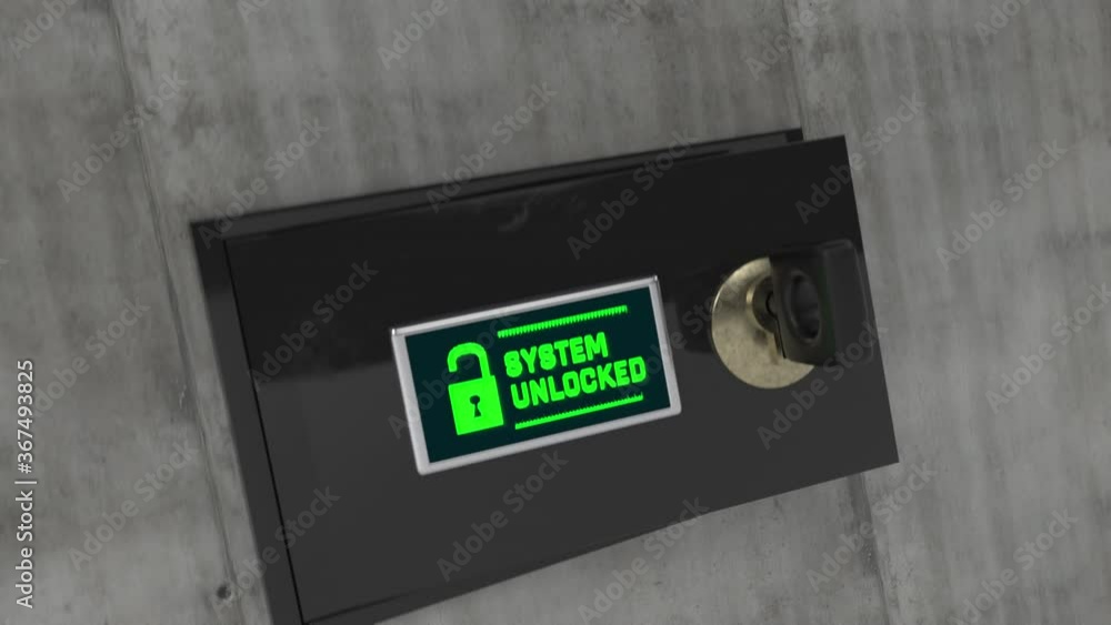 Password key unlocking the system, authorization process, data access ... Password key unlocking the system, authorization process, data access ...