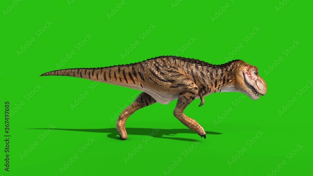 Angry T-Rex Runcycle Green Screen Loop 3D Rendering Animation Dinosaurs ...