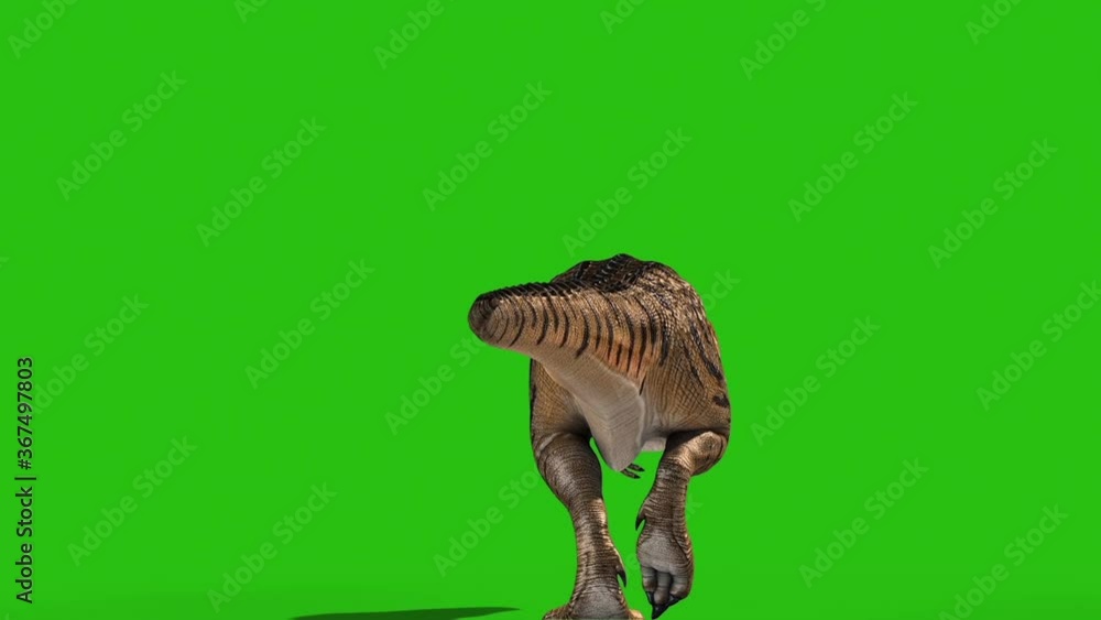 Angry T-Rex Walks Green Screen Back 3D Rendering Animation Dinosaurs 素材 ...