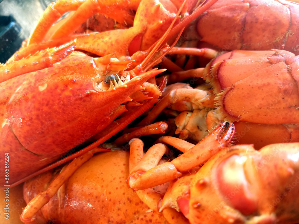 Foto de Extreme close up of a pile of steamed Maine Lobsters, legs ...