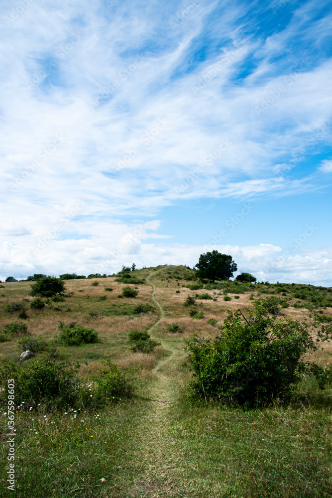 Footpath and hike trail in the nature reserve of Brosarps Backar, a ...