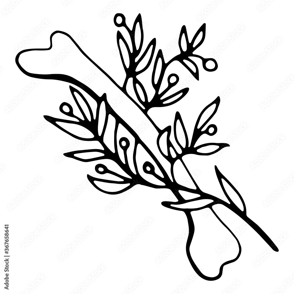 Vector isolated element, anatomy, bone with flower. Hand drawn doodle ...