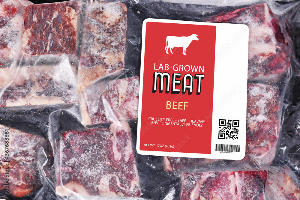 Lab grown cultured meat concept for artificial in vitro cell culture ...