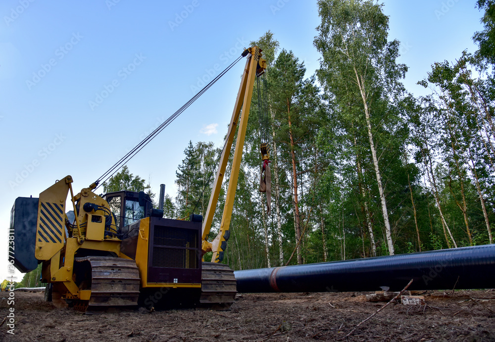Natural gas pipeline construction work in forest area. Crawler crane ...