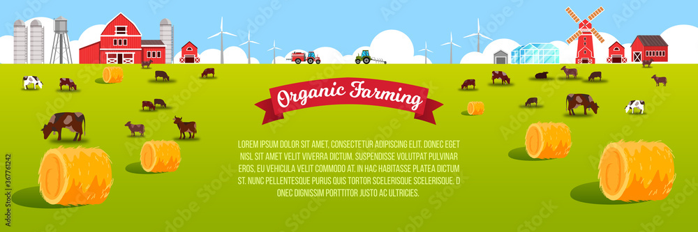 Livestock farm landscape with cows, field, haystacks, barn, mill, wind ...