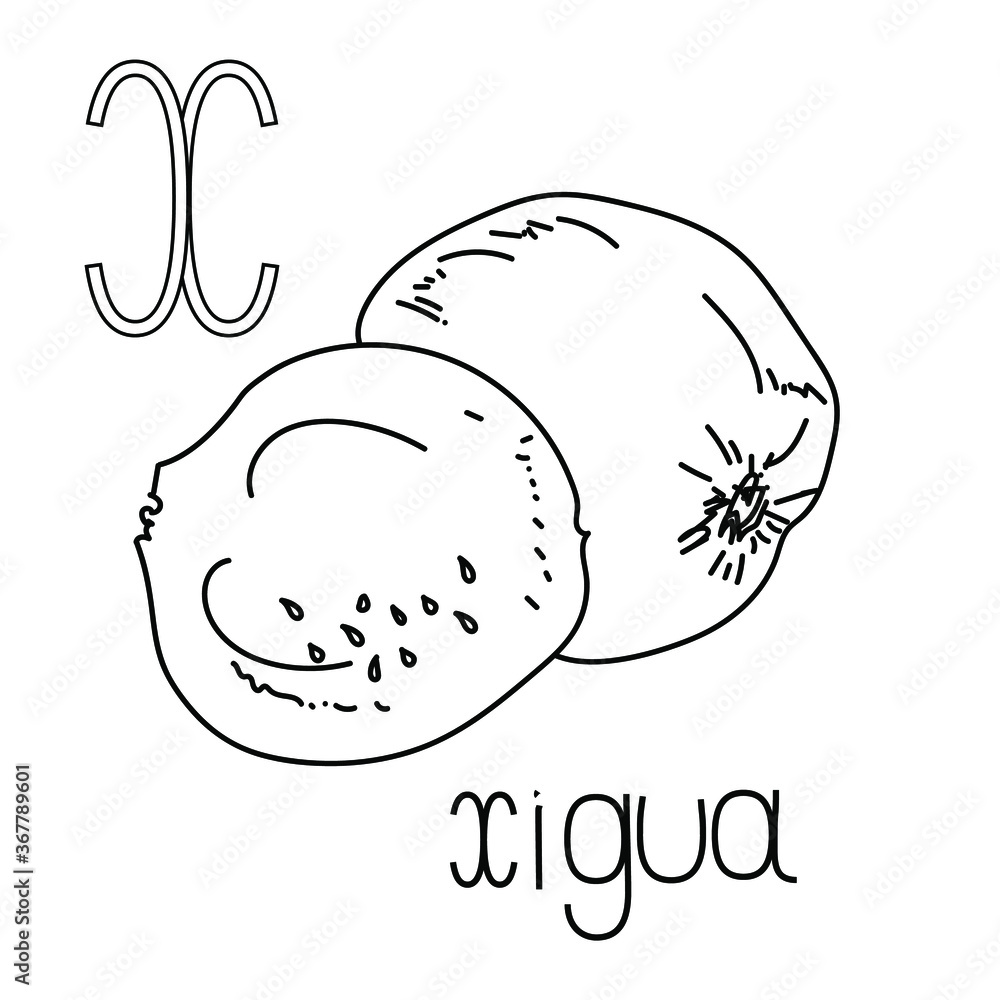 Coloring page fruit and vegetable ABC, Letter X - xigua, educated ...