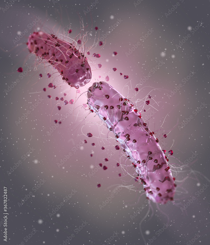 Dangerous pathogenic bacteria Escherichia coli, colibacillus, pathogen ...