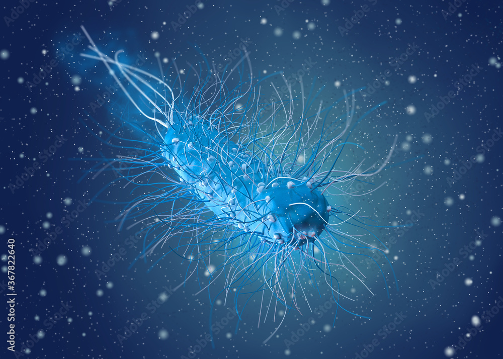Dangerous pathogenic bacteria Escherichia coli, colibacillus, pathogen ...
