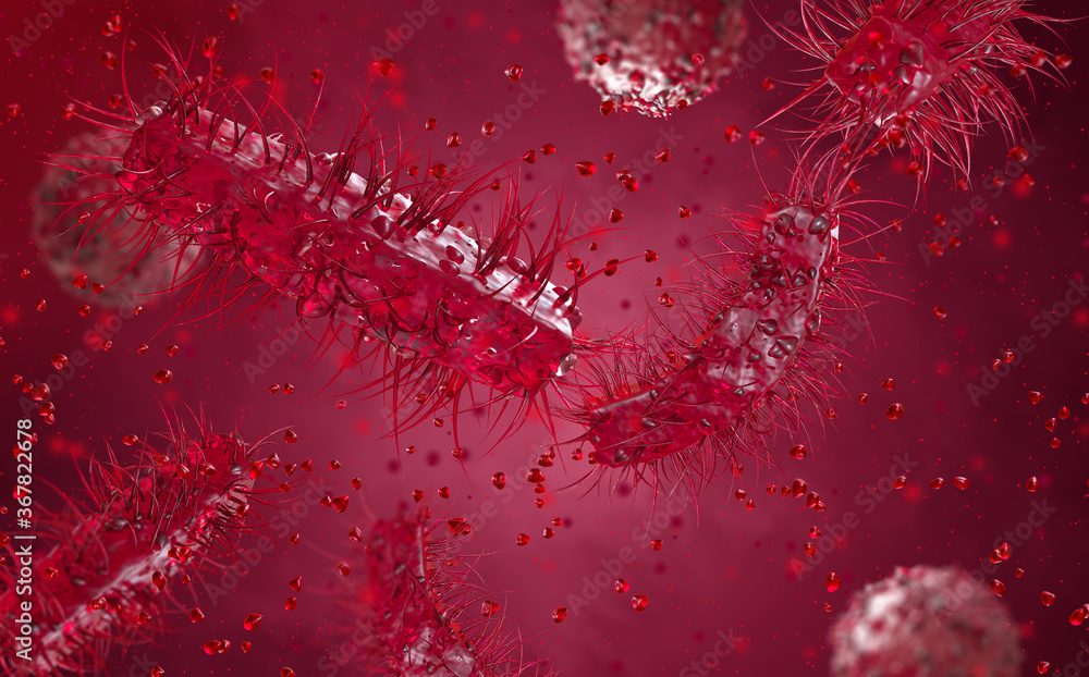 Dangerous pathogenic bacteria Escherichia coli, colibacillus, pathogen ...