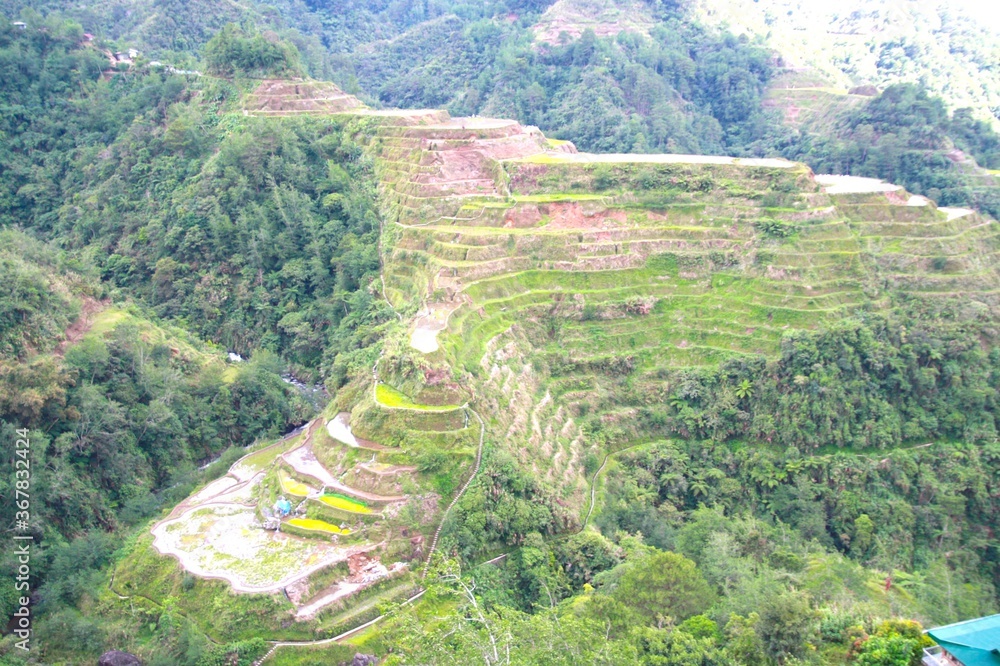 Beautiful World heritage ancestral Ifugao green and yellow rice ...
