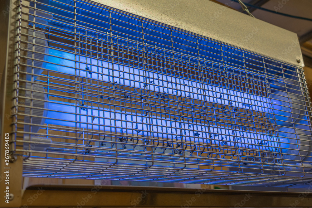 Ultraviolet light protection from insects. Stock Photo | Adobe Stock