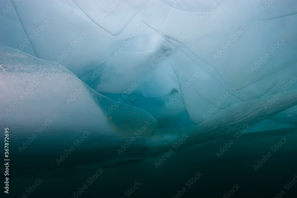 Diving underwater in winter. View in lake under ice. Marine life under ...