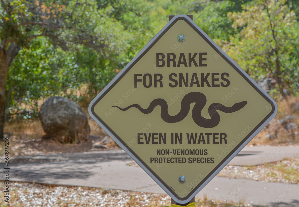 Break For Snakes, Even In Water Sign in Oak Creek Canyon, Northern ...