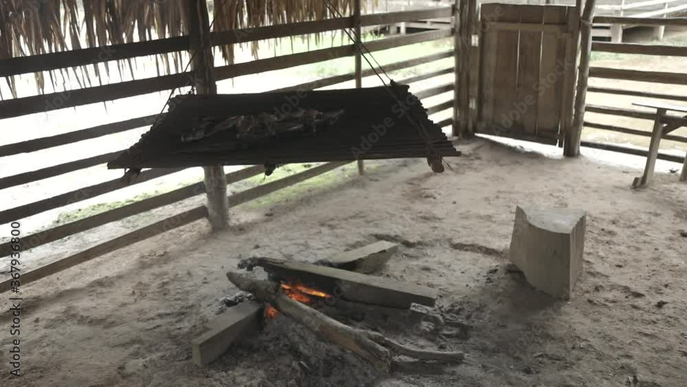 Vidéo Stock Indigenan food cooking barbecue in the tribe, in the Amazon ...
