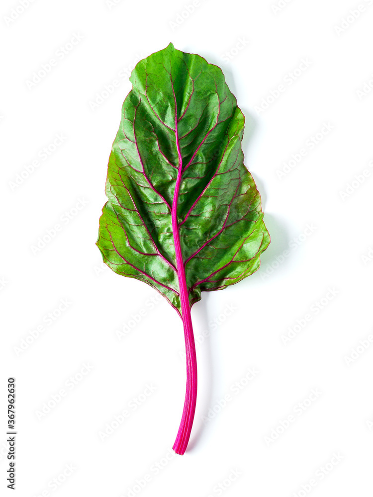 One swiss chard leaf isolated on white background. Fresh swiss rainbow ...