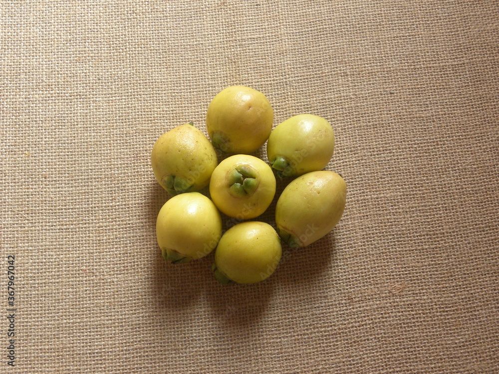 Yellow color whole ripe Rose apple or Syzygium jambos fruits Stock ...