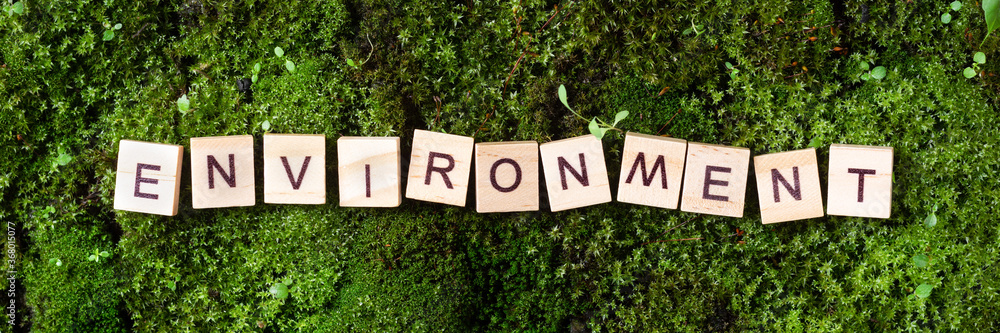 the word environment. The word environment is written on a green moss ...
