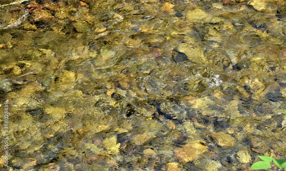 Górski potok Stock Photo | Adobe Stock