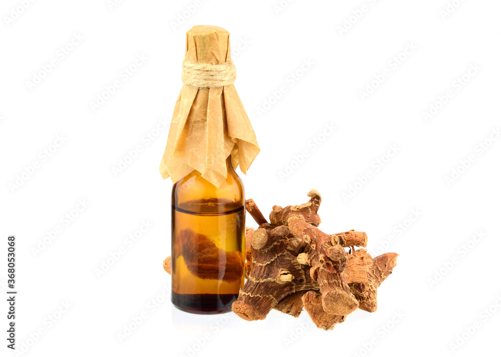 Poster Lesser Galangal Dried Root Tincture Extract in a Bottle (Alpinia ...