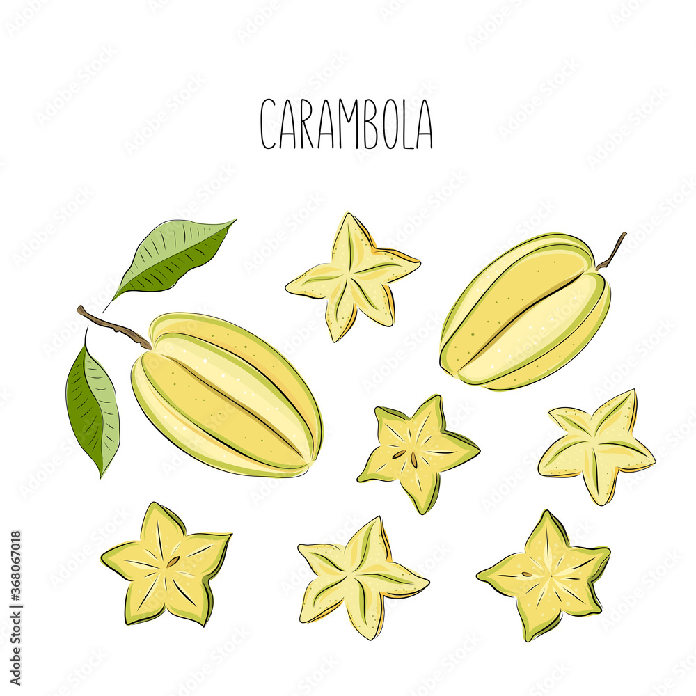 Carambola, star fruit. Whole, slice, leaf. Colorful sketch collection of tropical fruits ...