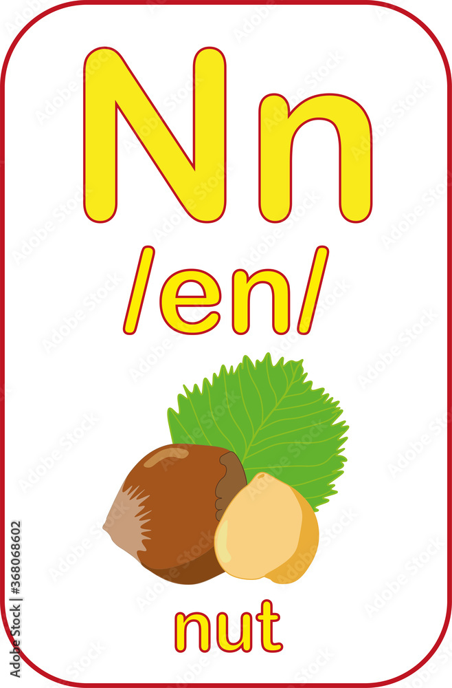 Letter N. Alphabet tutorial cards collection. Vector illustration ...