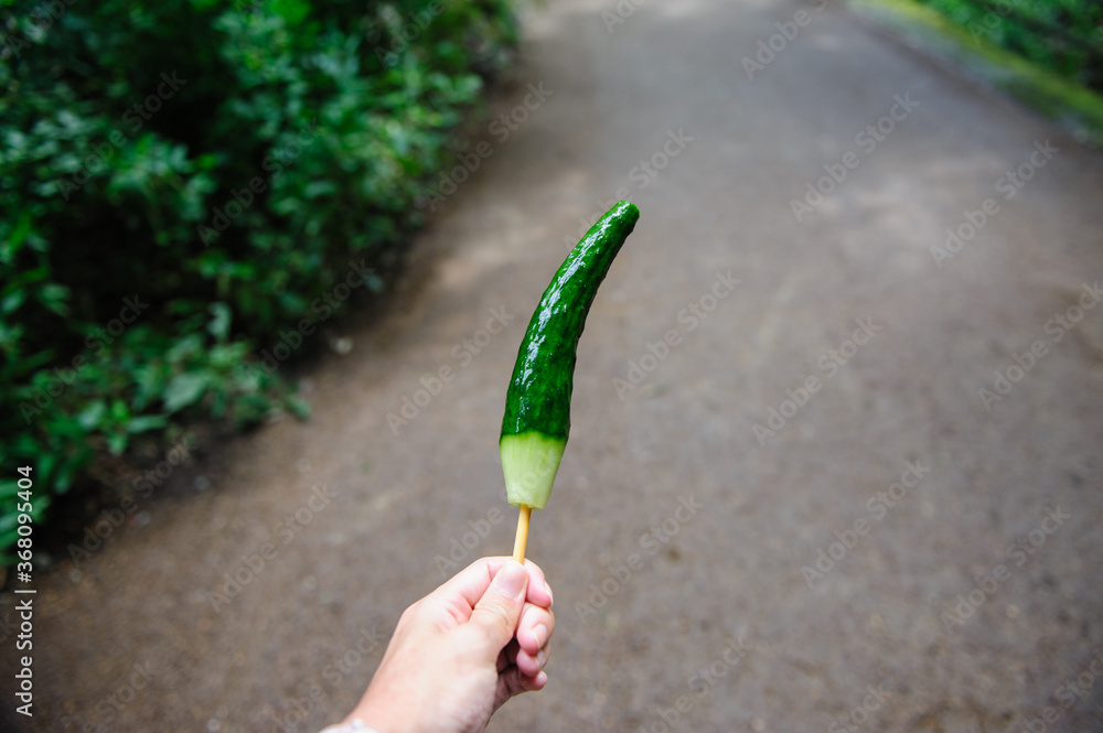 Ice Kyuri, Japanese cucumber pickled in mildly salted seaweed flavored ...