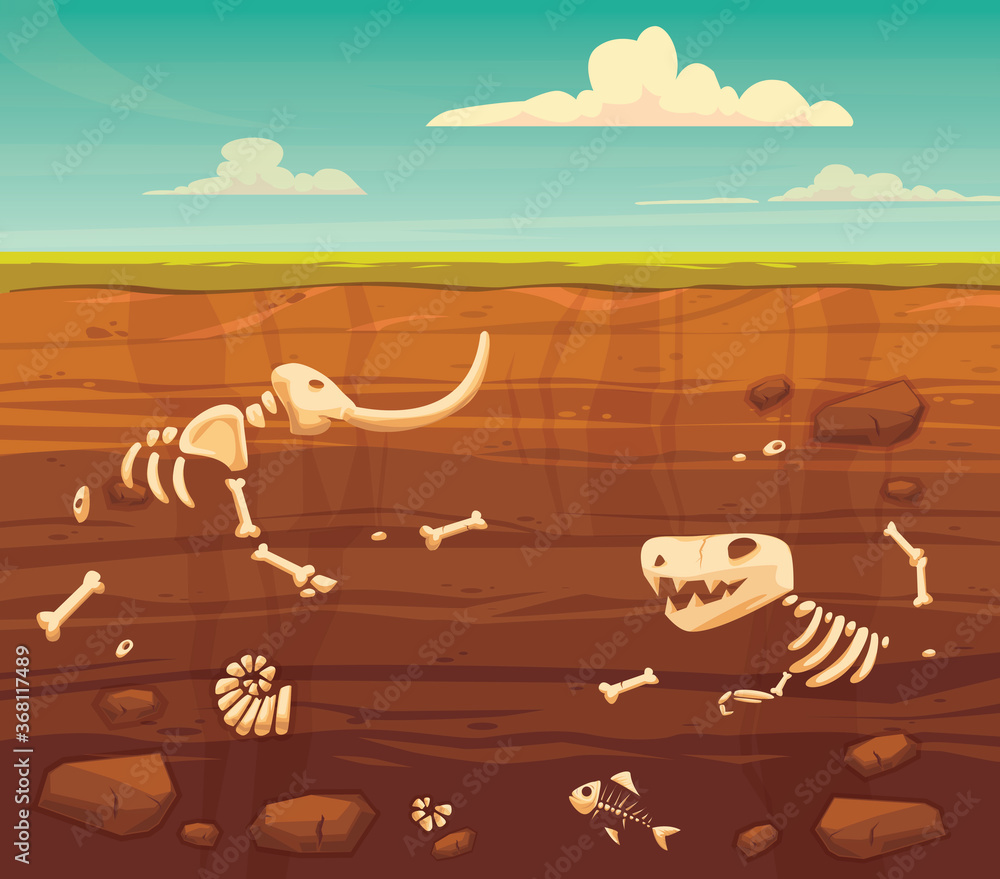 Ground layers with bones. Buried fossil animals, dinosaur, mammot, fish ...