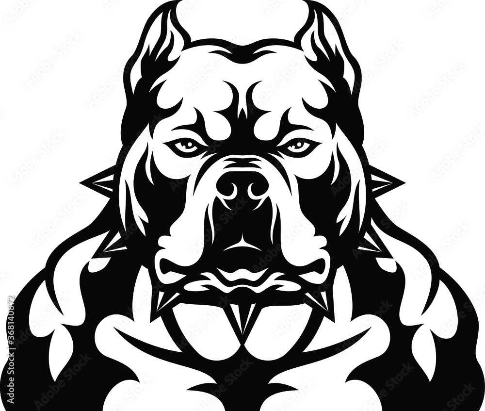 American Bully Head Drawings