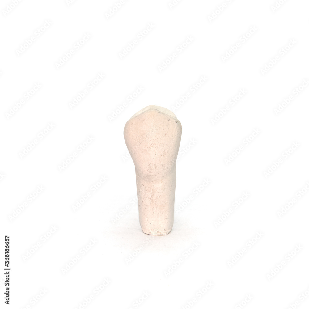 Plaster model of a maxillary first premolar tooth Stock Photo | Adobe Stock