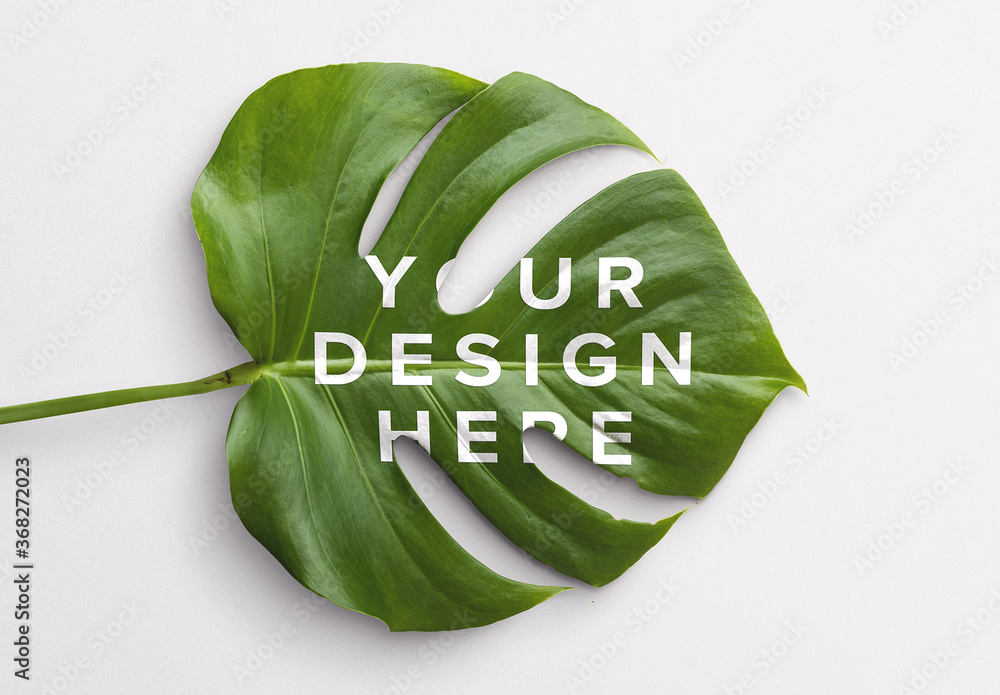 Monstera Leaf Plant Mockup Stock Template | Adobe Stock