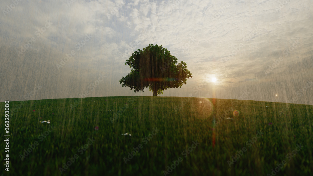 High resolution. A tree standing alone in the rain in a lawn. Dramatic ...