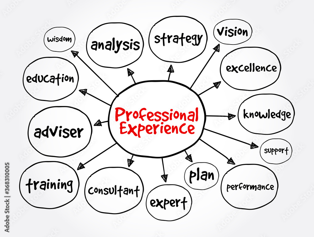 Professional experience mind map, business concept for presentations ...