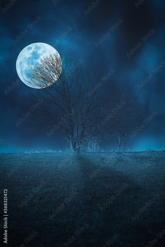 Full moon over the tree Stock Photo | Adobe Stock