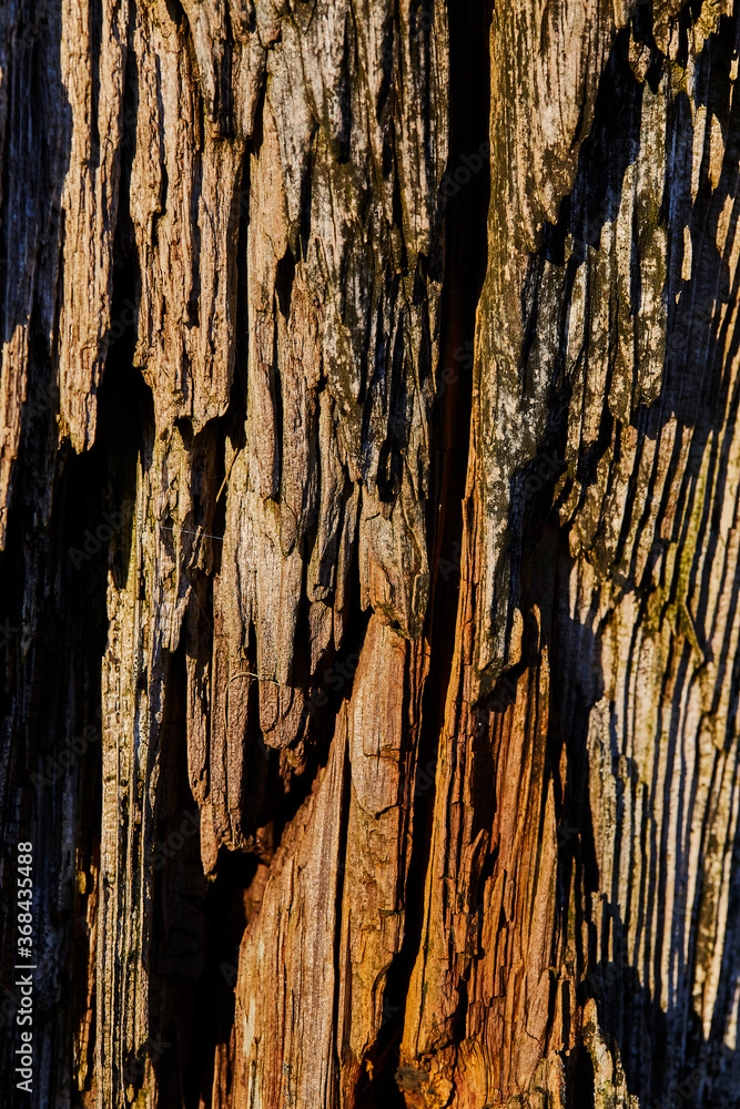 Old rusty wood Stock Photo | Adobe Stock