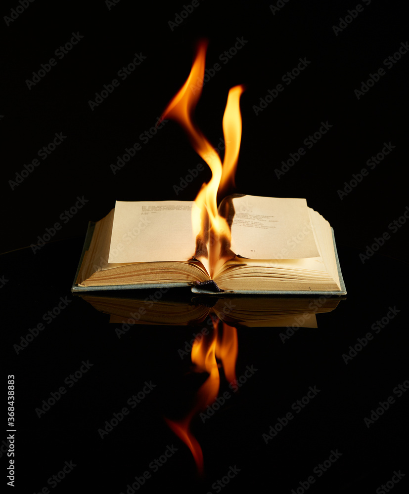 Burning Book Art
