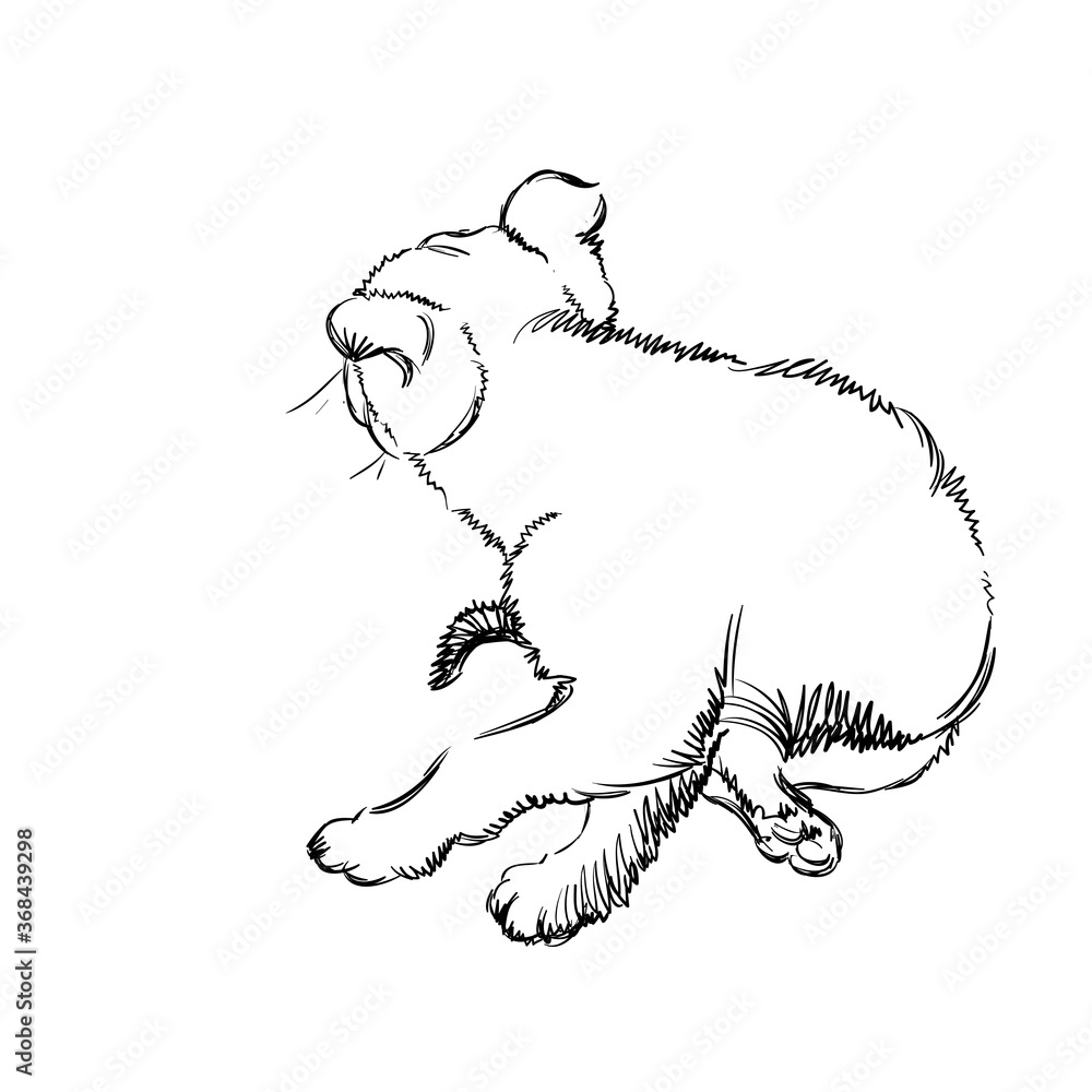 The Portrait of a Cute Little Puppy on White Background. Monochrome ...