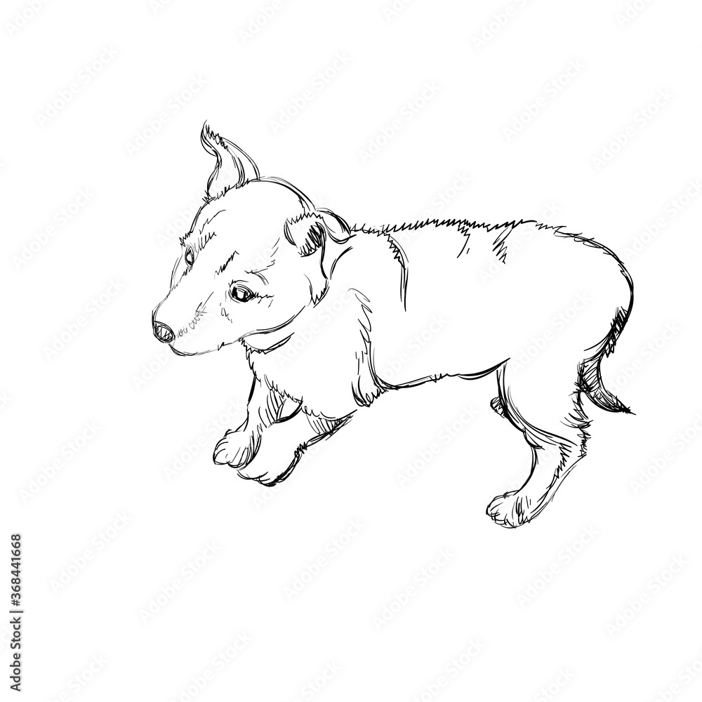 The Portrait of a Cute Little Puppy White Background. Monochrome Vector ...