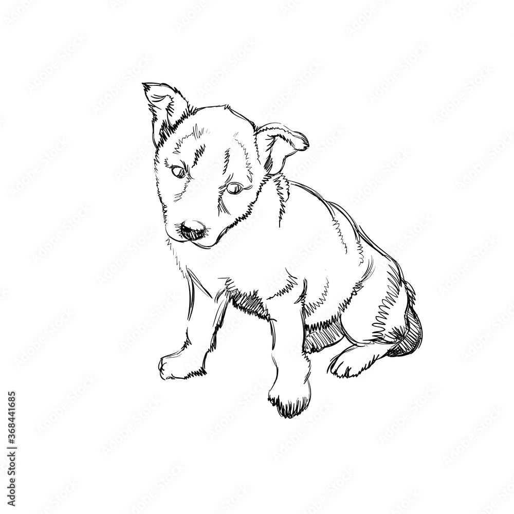 The Portrait of a Cute Little Puppy on White Background. Monochrome ...