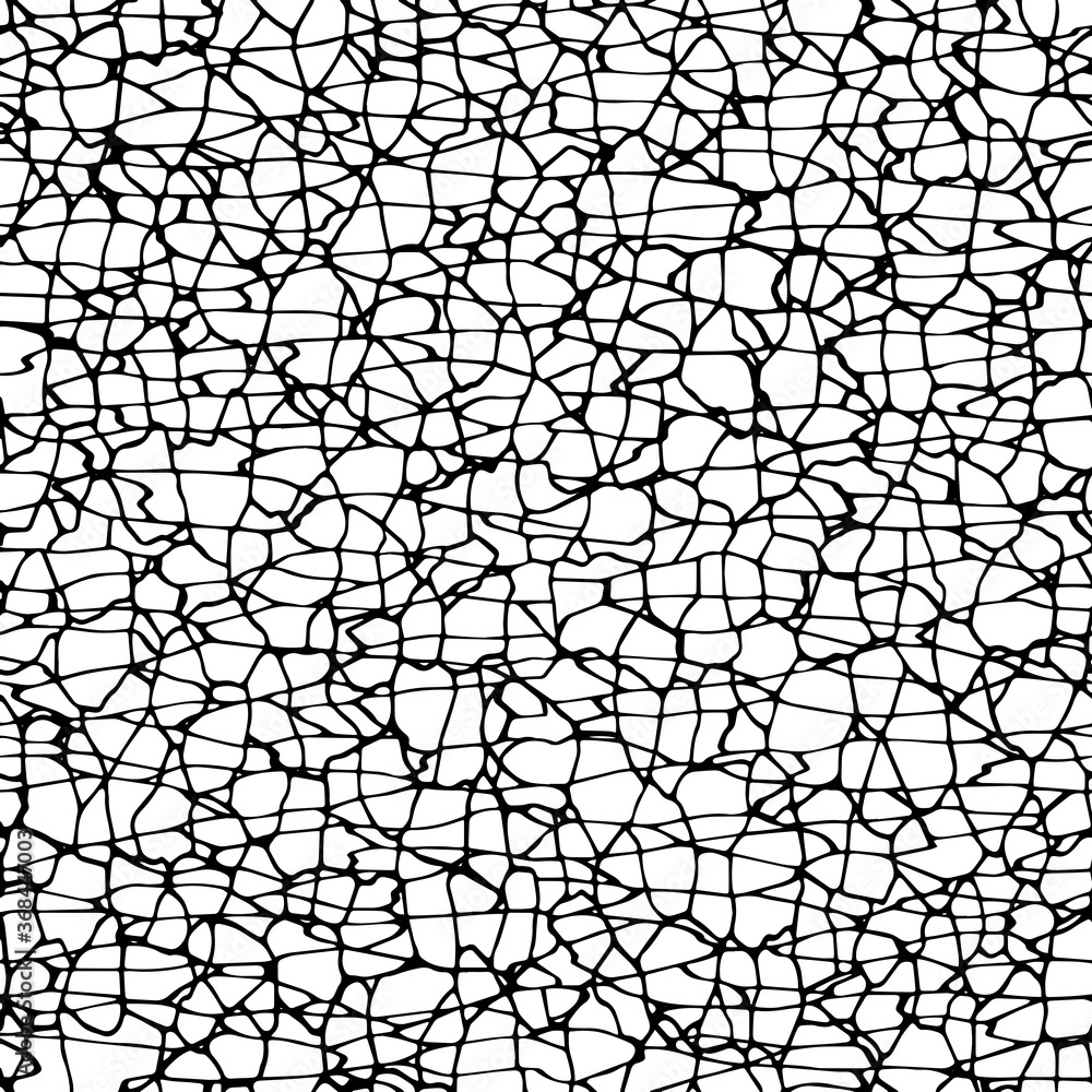 Seamless pattern.The cracks texture white and black. Vector background ...