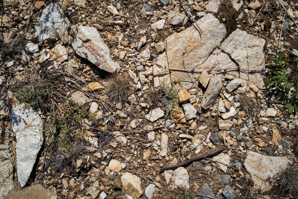 Soil background. Stony ground. Ground and stones. Crushed stones. Green ...