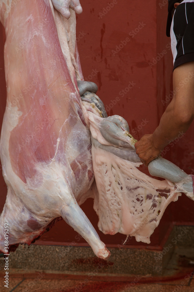 the butcher cuts the carcass of a sheep.Rips open the belly, pulls out ...
