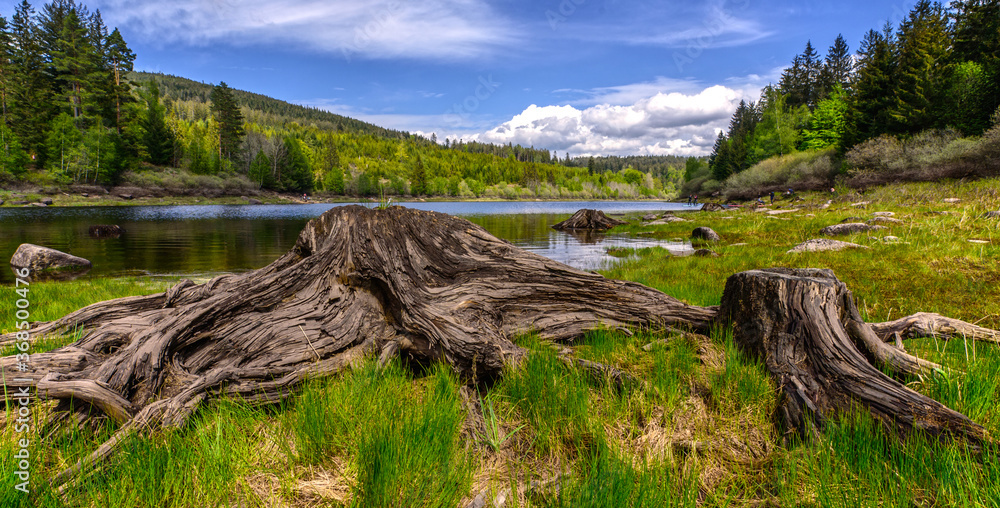 Ein See mit klarem Wasser im Wald an der Schwarzenbachtalsperre Stock ...